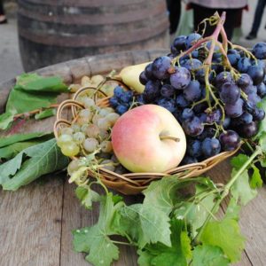 Rogljevačke pivnice - pivnica i smeštaj Jovanović Negotin - Biznis ...